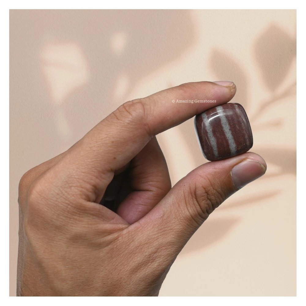 Tumbled Shiva Lingam Crystals Stones - Amazing Gemstones INC