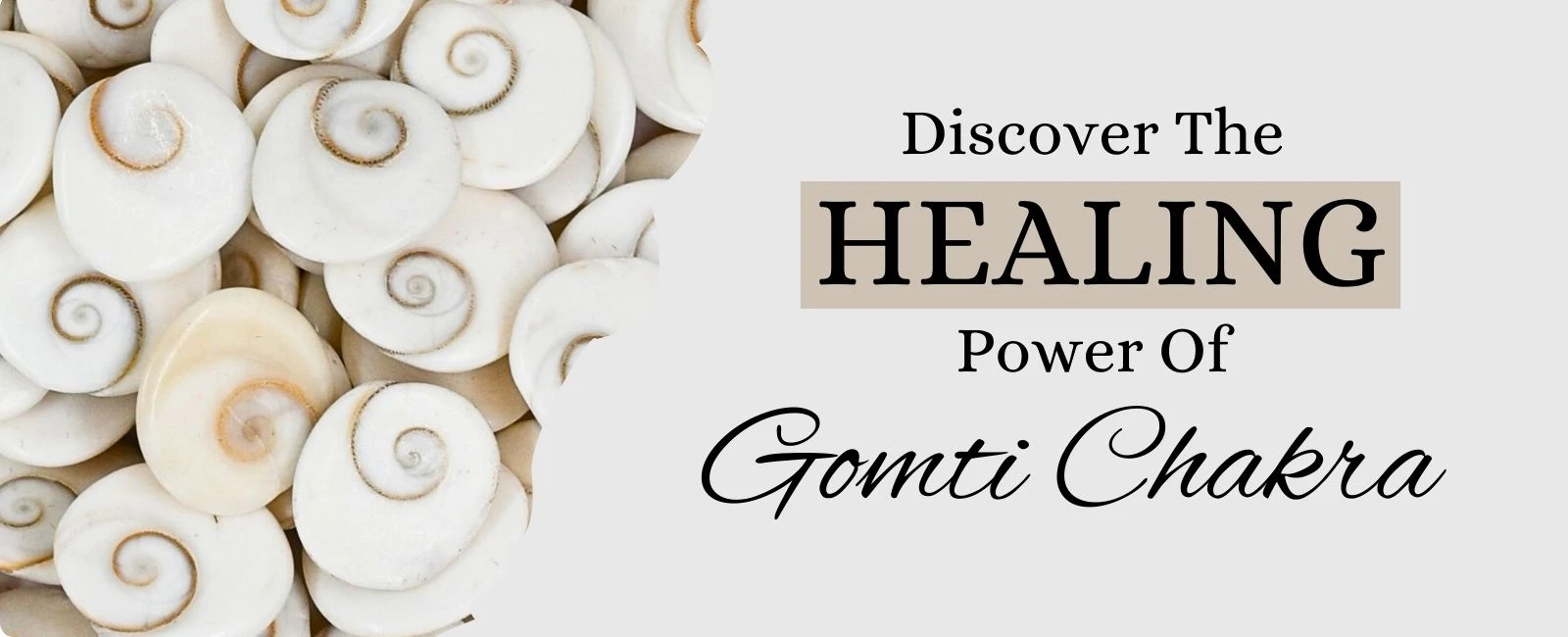 Gomti Chakra: Healing Properties and Spiritual Significance