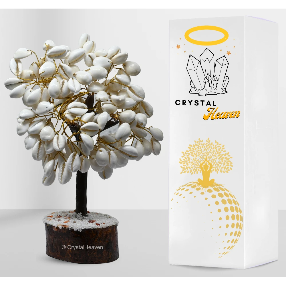 Natural Kaudi Tree - Premium Kauri Shell - Crystal Heaven