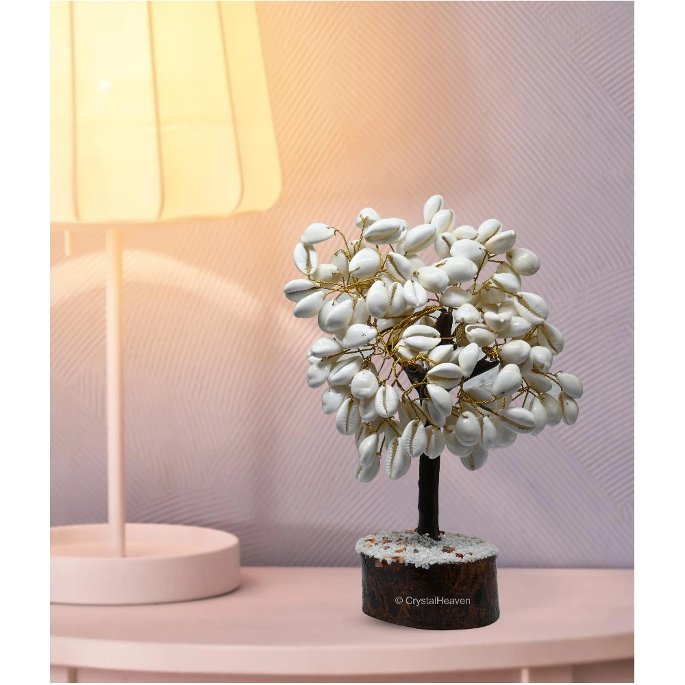 Natural Kaudi Tree - Premium Kauri Shell - Crystal Heaven