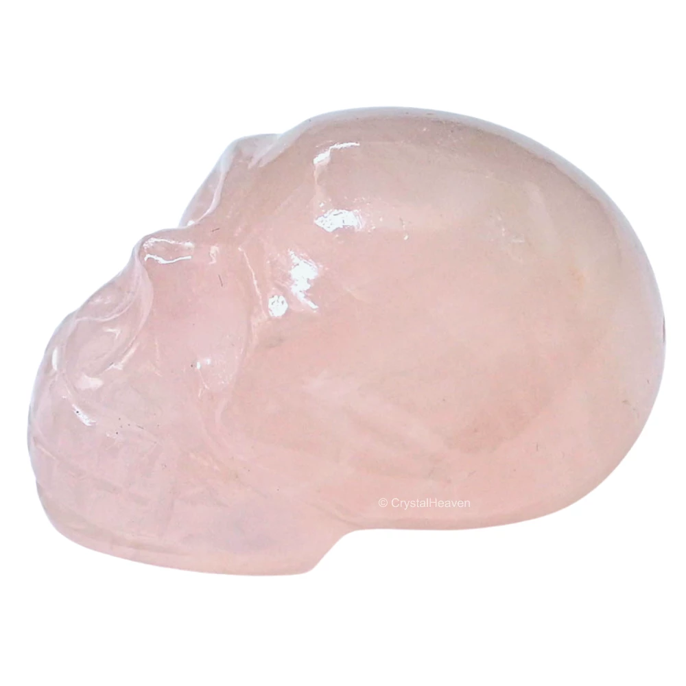 Rose Quartz Skull - Premium Crystal Skulls - Crystal Heaven