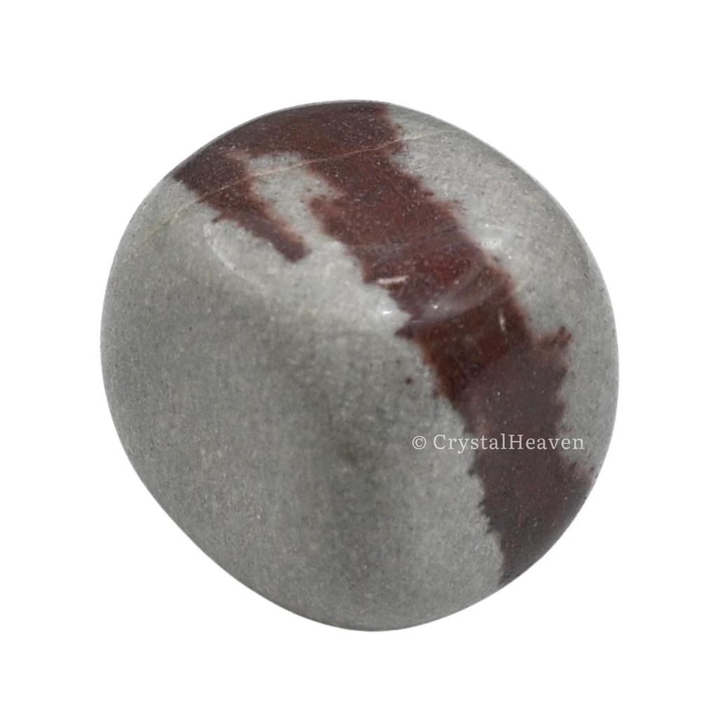 Tumbled Narmada Shiva Lingam Stones - Premium Polished Tumbled Crystals