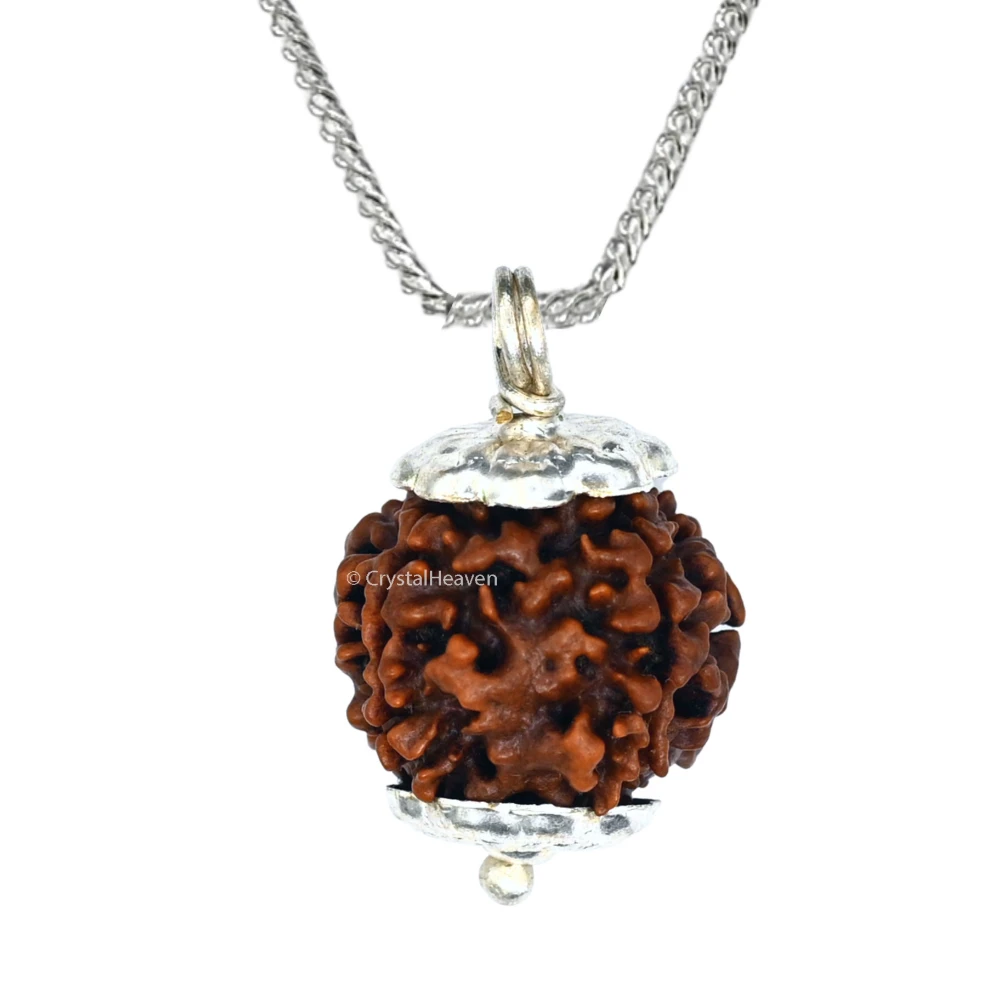 Original 4 Mukhi Rudraksha Pendant - Certified Rudraksha Beads