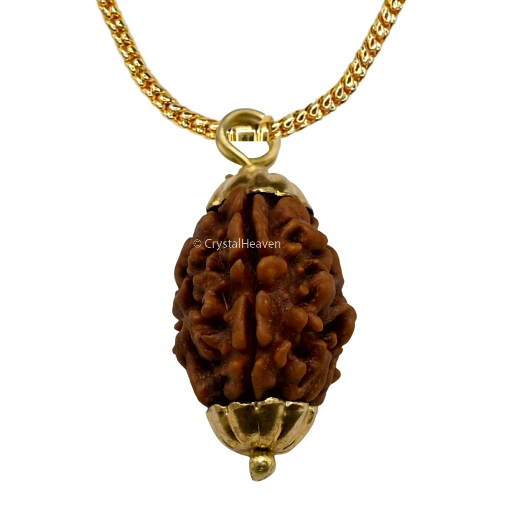 Original 3 Mukhi Rudraksha Pendant - Certified Rudraksha Beads
