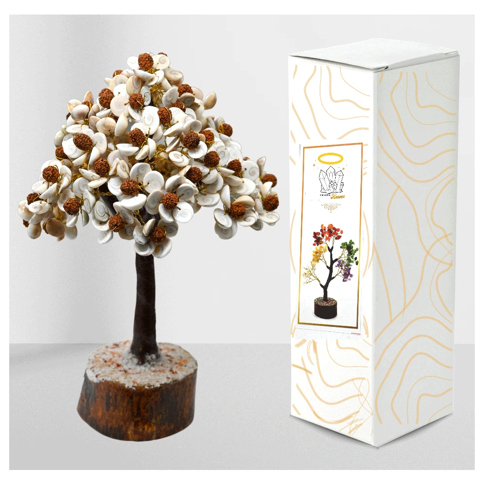 Rudraksha Gomti Chakra Tree - Premium Rudraksha Tree - Crystal Heaven